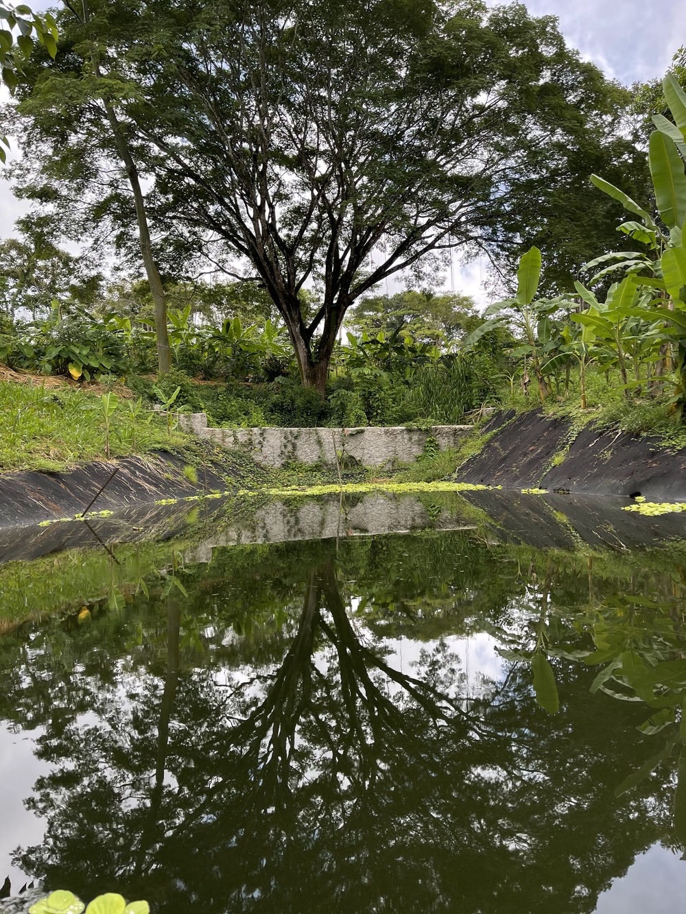 Galeria de Imágenes