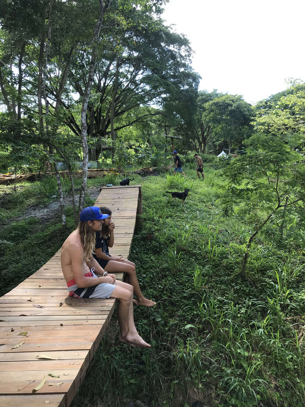 Galeria de Imágenes